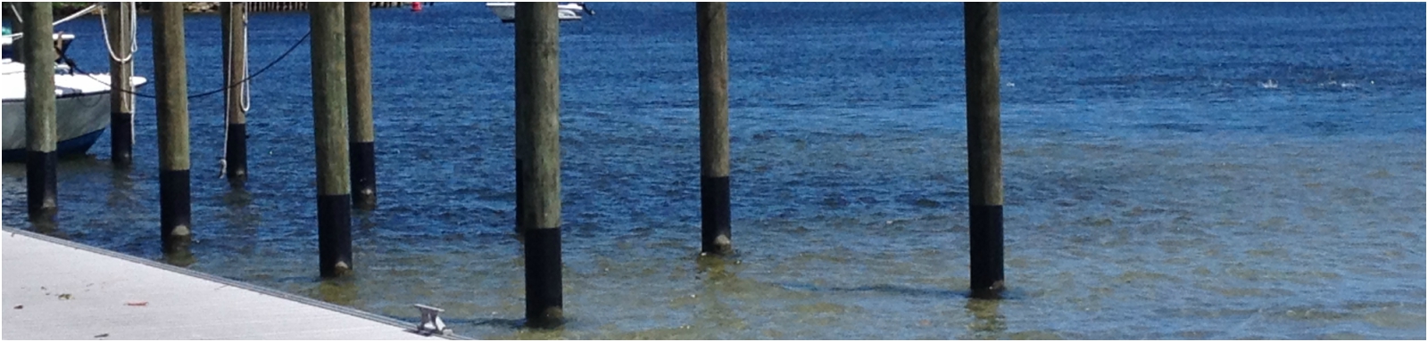 Piedmont Plastics | Buy Plastic Sheet, Rod, Tube, and Film